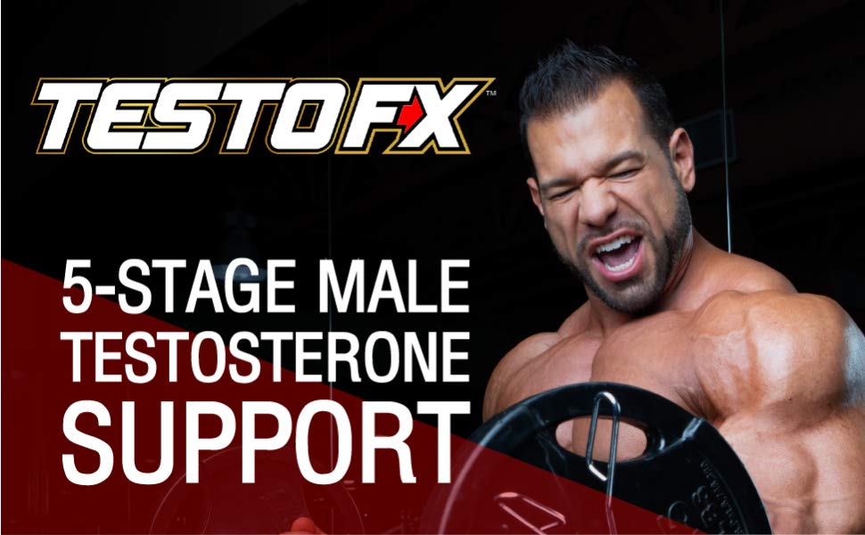 ALLMAX, TestoFX, 5-Stage Male Testosterone Amplifier, 90 Capsules ...
