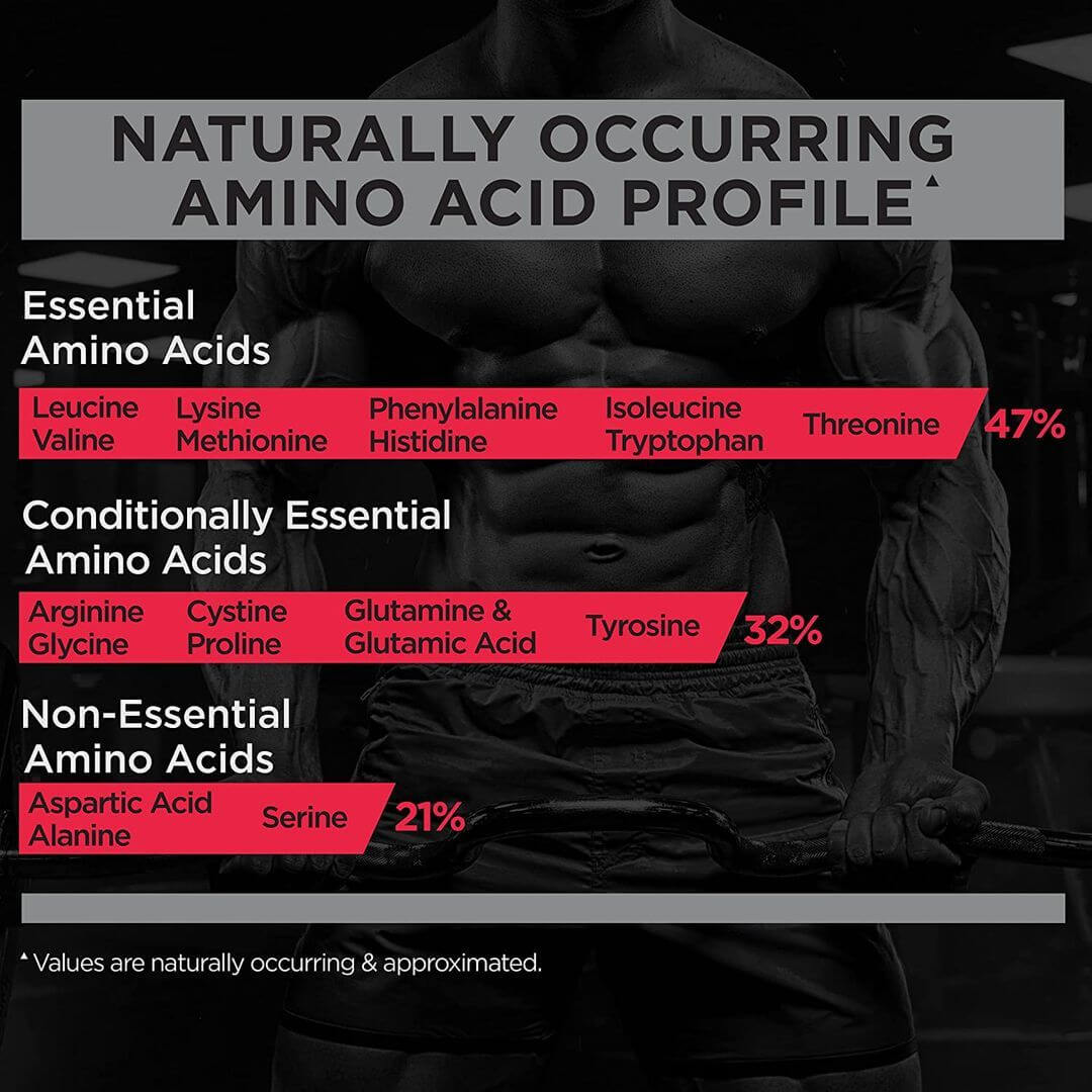 Rule One, R1 GAIN, High Protein Gainer, 10 LB | Zone Nutrition